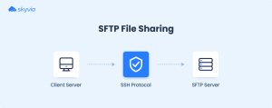 SFTP vs API Integrations: Which is the Best to Choose? | Skyvia