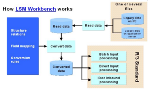 SAP Data Migration: A Complete Guide with Best Practices (2025)